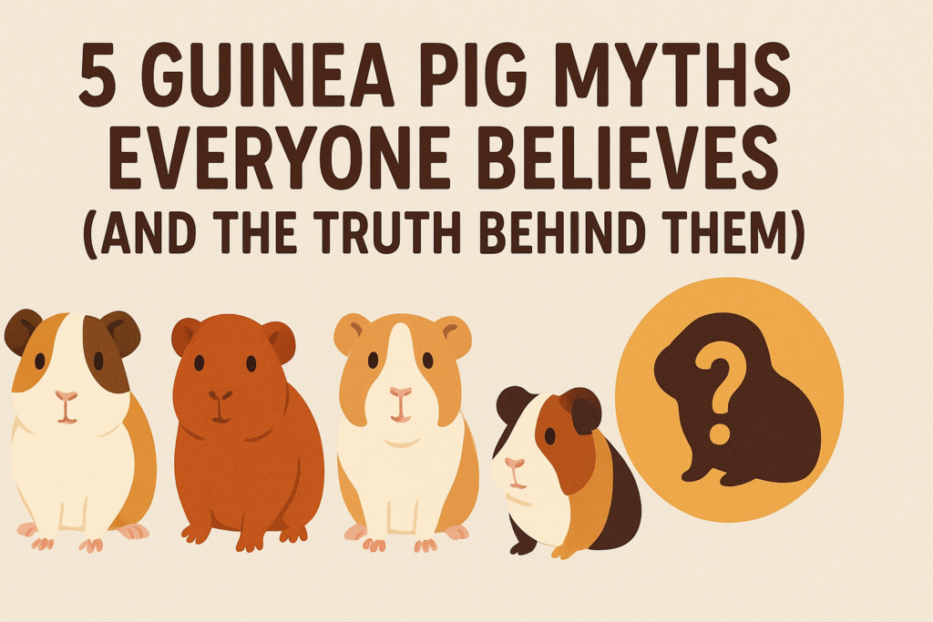 How Much Do Guinea Pigs Cost? (Complete 2025 Guide) - Guinea Pig Guide